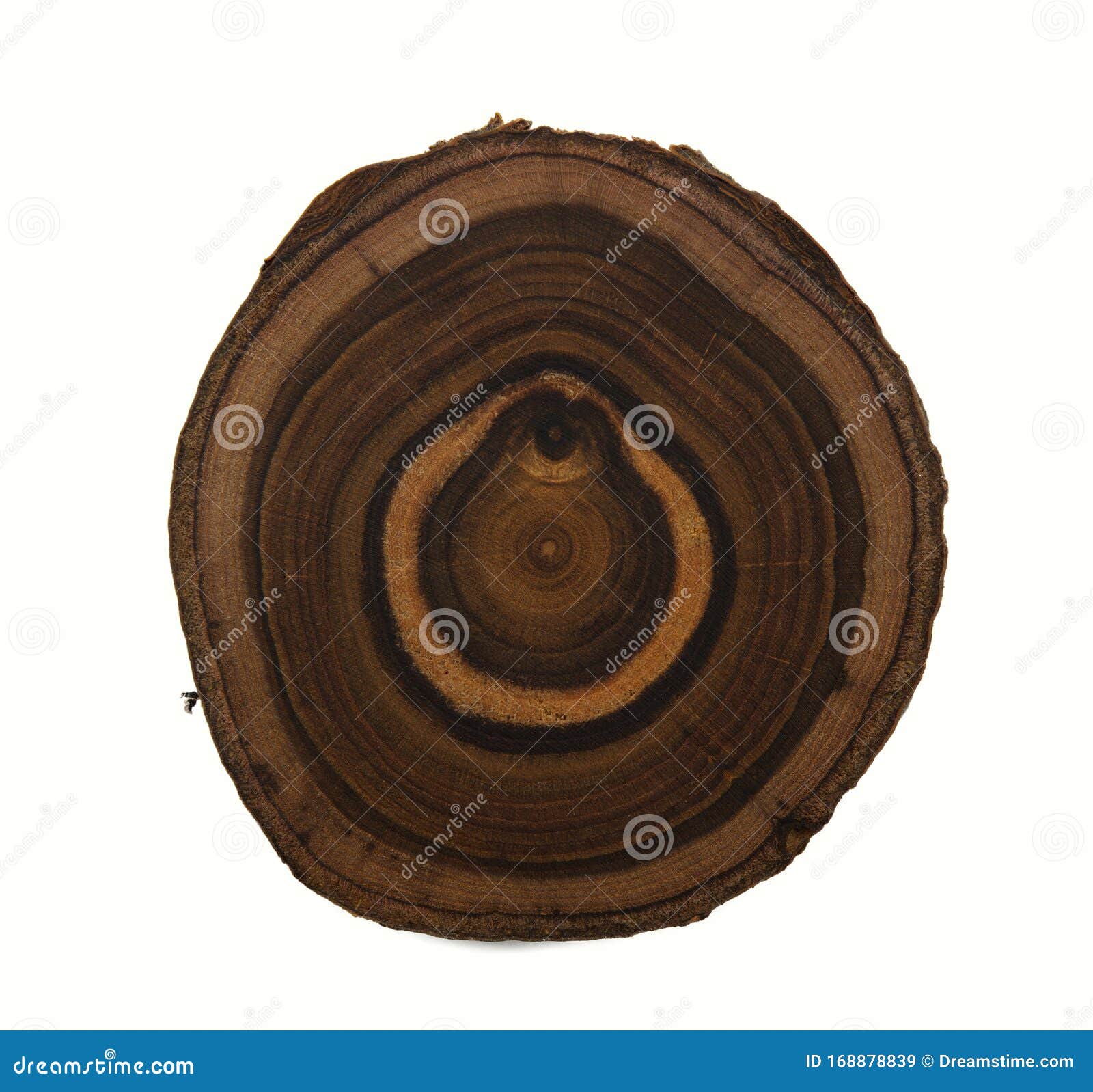 Cross section of wood stock image. Image of circle, cross - 168878839