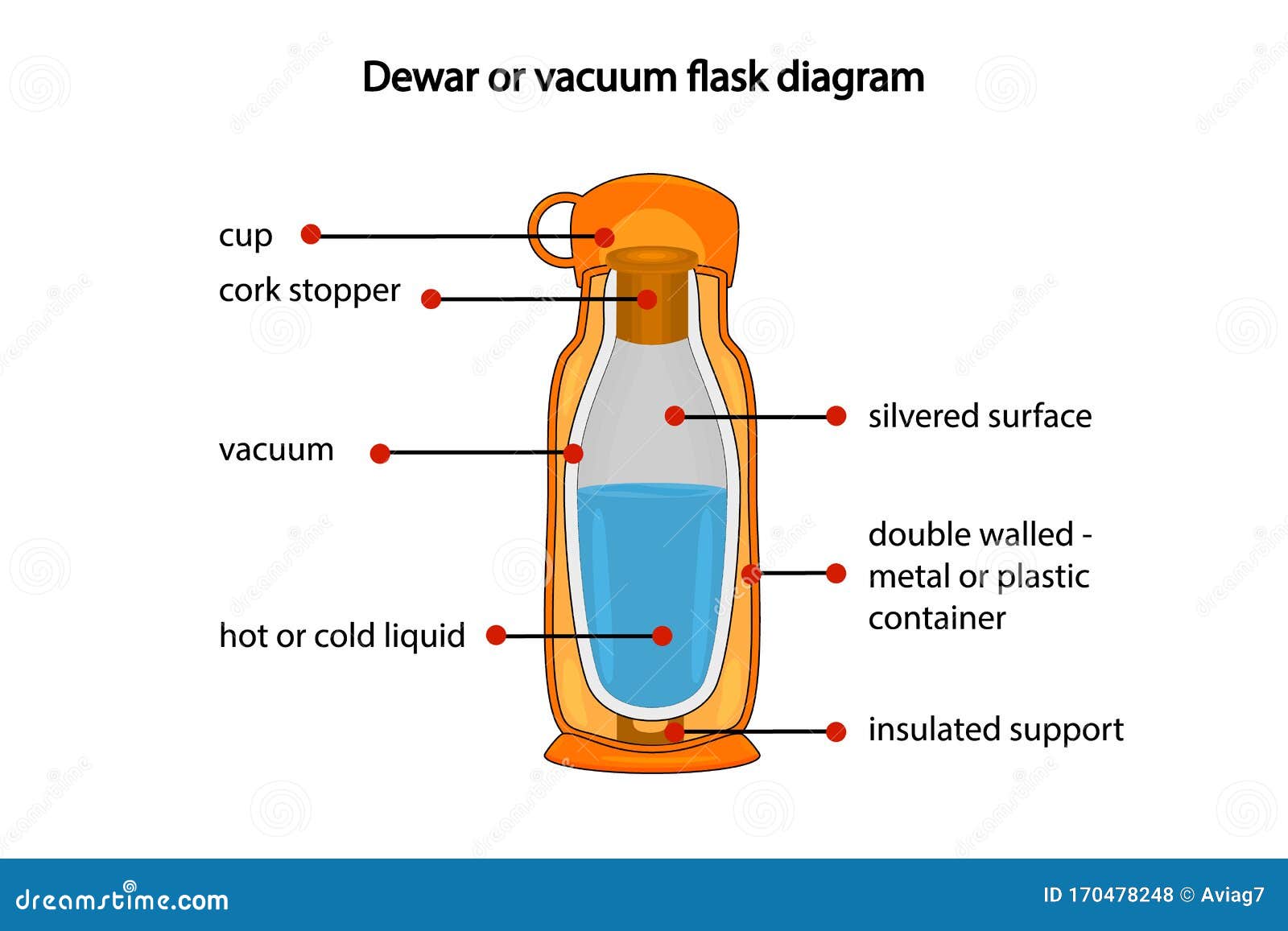 Dewar or Vacuum Flask Fully Diagram Isolated on White Background. Stock ... Dewar or Vacuum Flask Fully Diagram Isolated on White Background. Stock ...