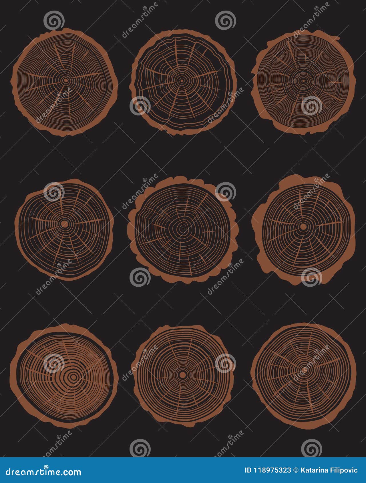 Cross Section Of Different Trunks Stock Photo | CartoonDealer.com ...