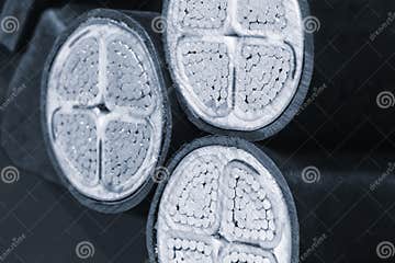 Cross-section of Electrical Power Cable Stock Photo - Image of ...