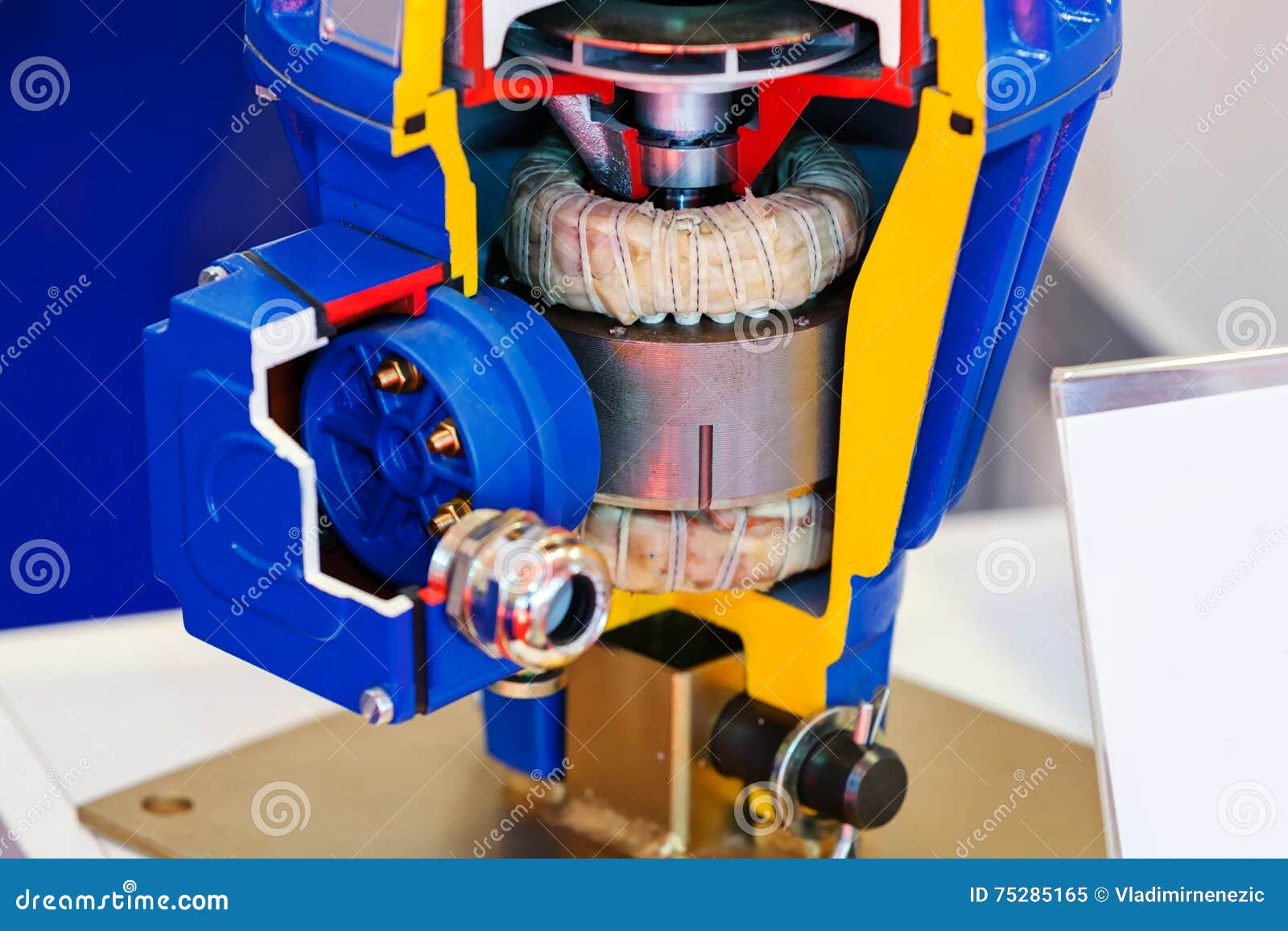 Cross Section of Engine Part Stock Image - Image of helical, factory ...