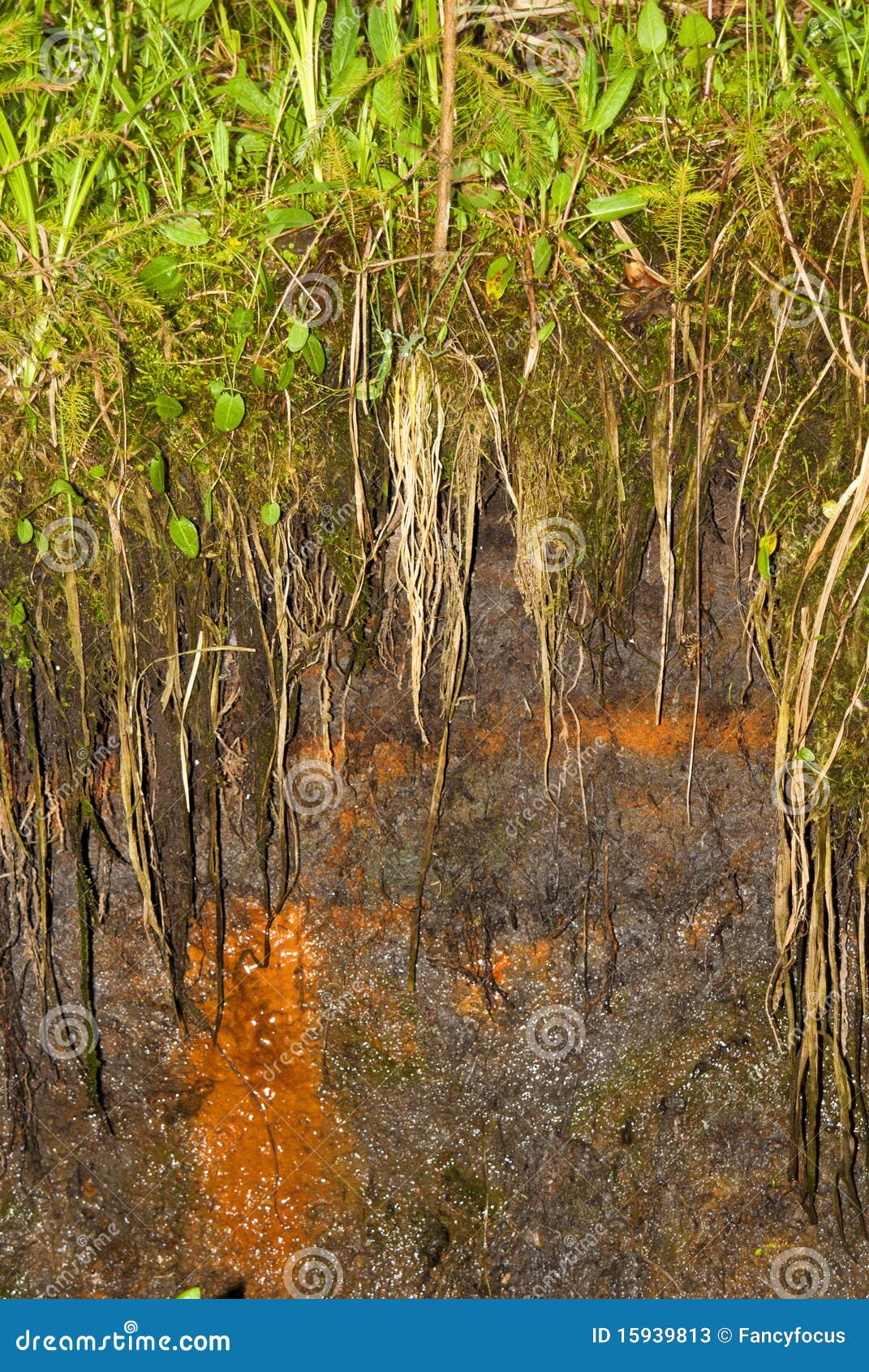 Cross Section through Ferrous Substrate Stock Image - Image of iron ...