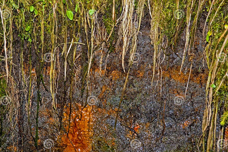 Cross Section through Ferrous Substrate Stock Photo - Image of ...