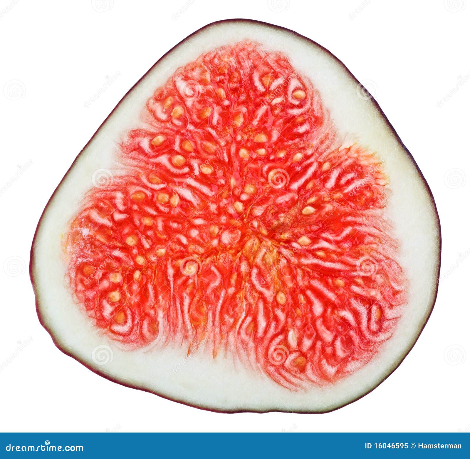Cross-section Of Fig Tree Fruit Royalty Free Stock Photo - Image: 16046595