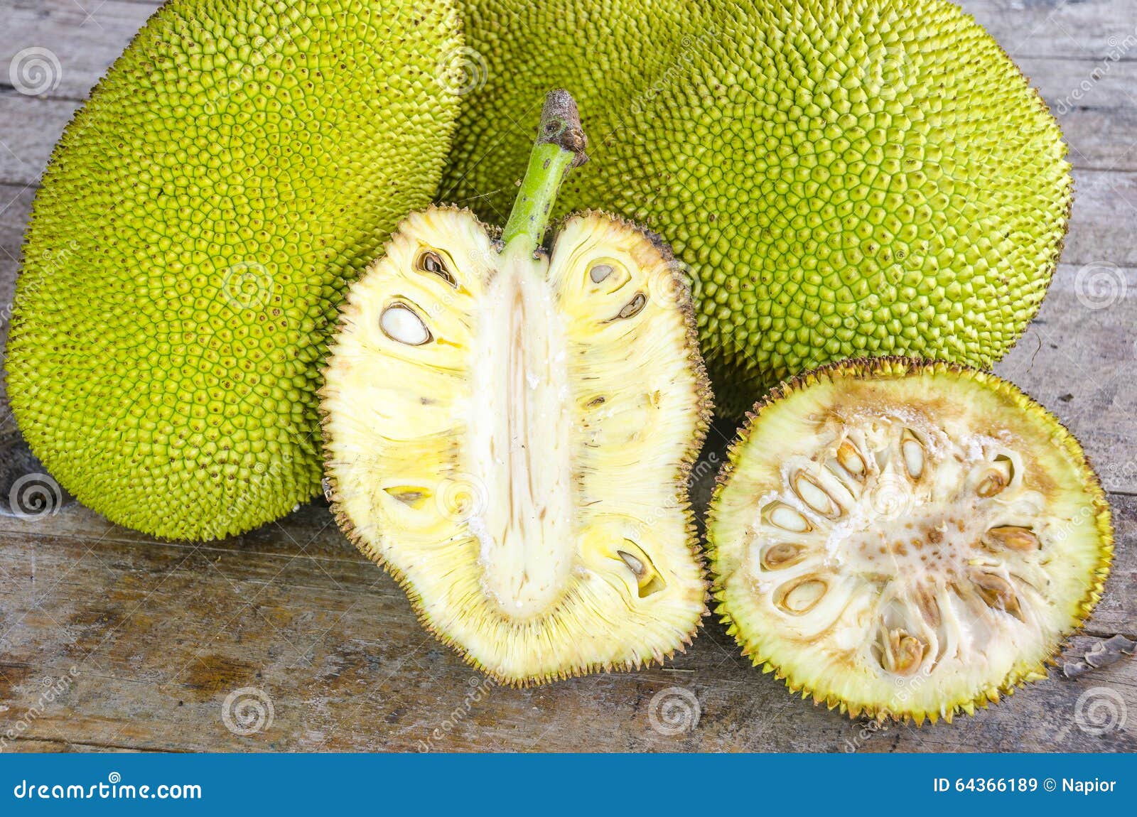 Giant Jackfruit