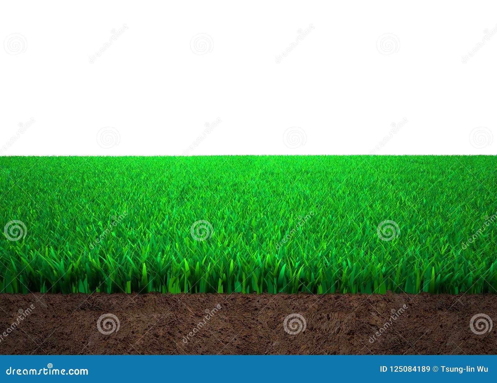 Cross Section of Grass and Soil, 3D Illustration Stock Image - Image of ...