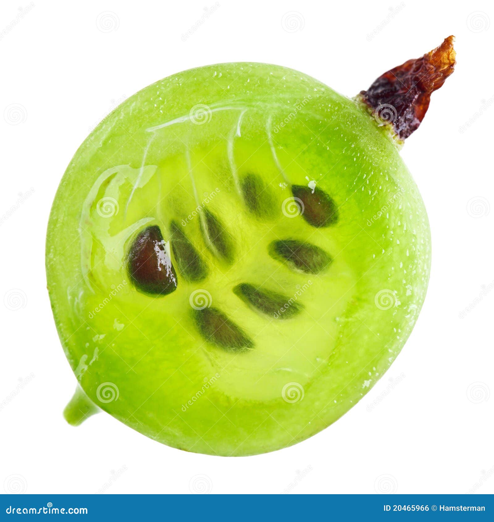 Cross-section of Green Gooseberry Fruit, Macro Stock Photo - Image of ...
