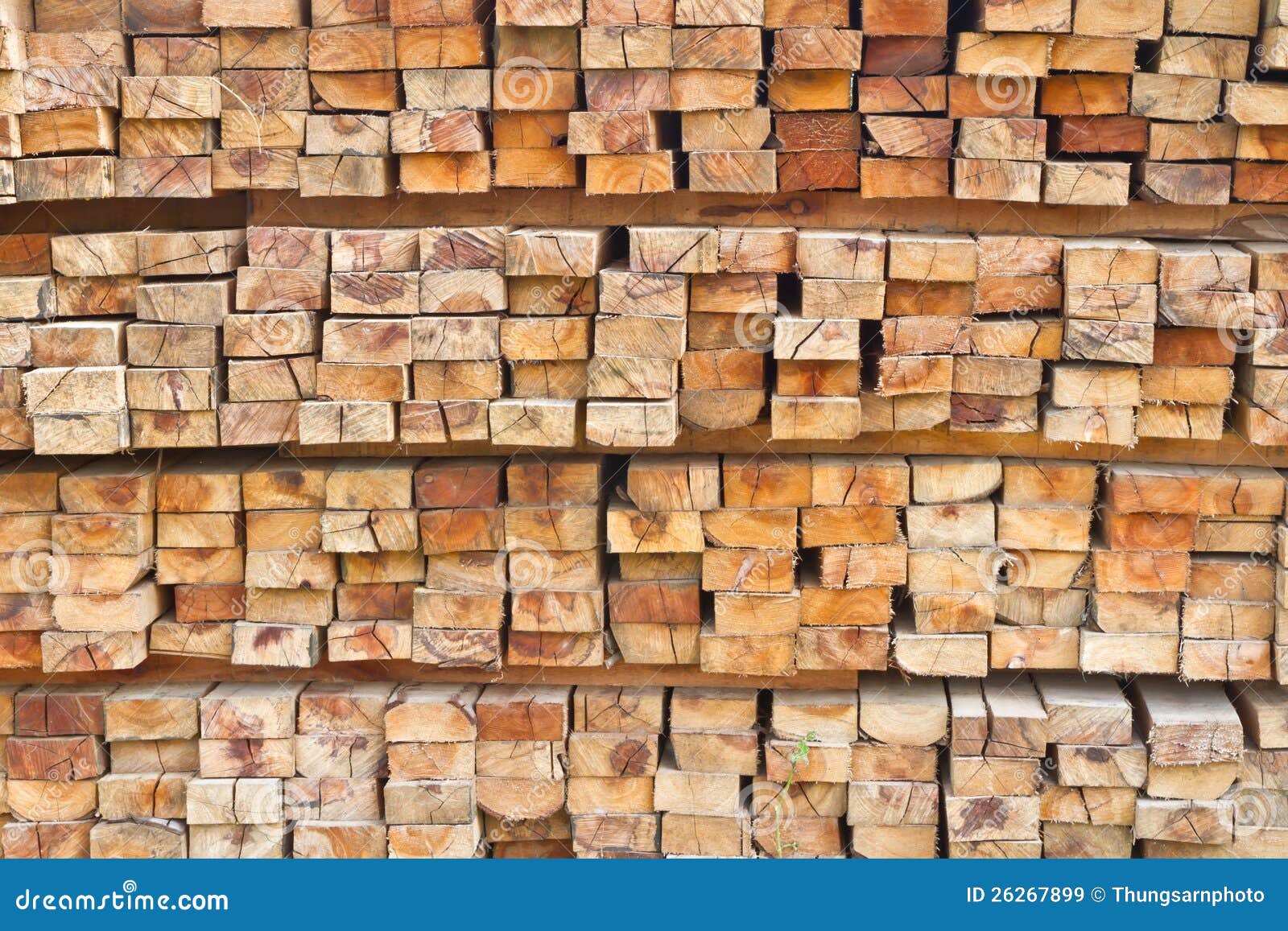 Cross section of hardwood stock image. Image of furniture - 26267899