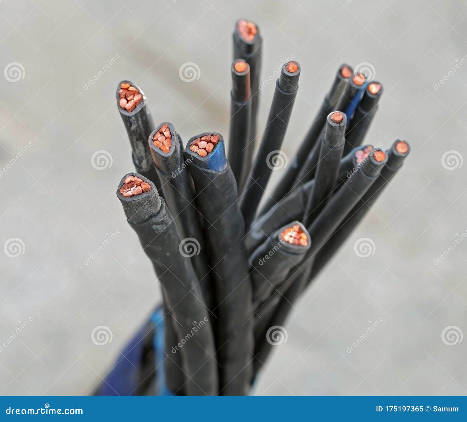 Cross Section of High-voltage Cable Stock Image - Image of electronic ...