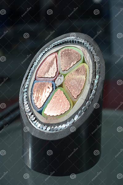 Cross Section of High-voltage Cable. Stock Image - Image of electricity ...