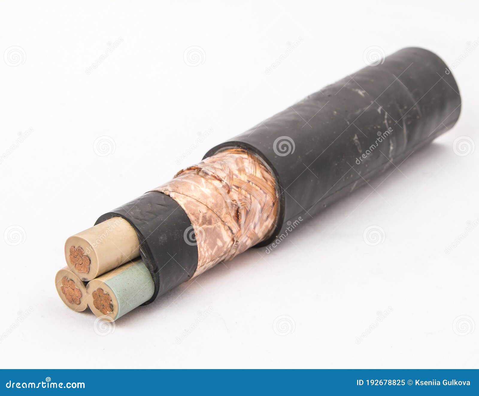 Cross Section of High-voltage Cable, Polymer Insulation Stock Image ...