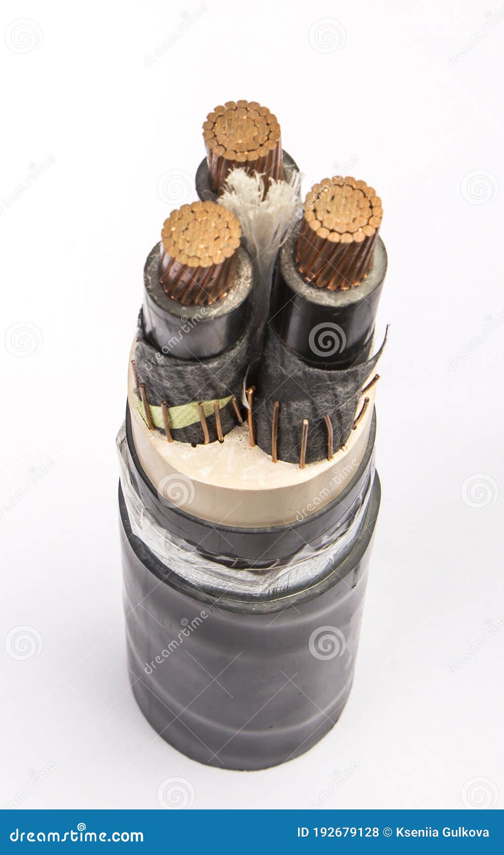 Cross Section of High-voltage Cable, Polymer Insulation Stock Photo ...