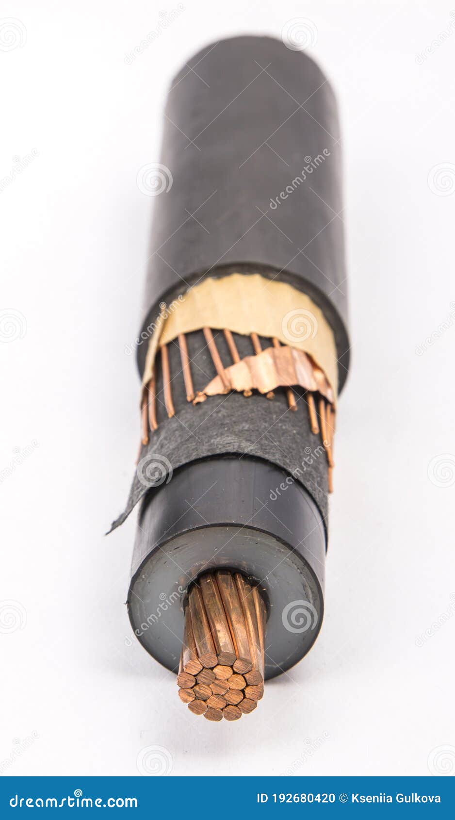Cross Section of High-voltage Cable, Polymer Insulation Stock Photo ...