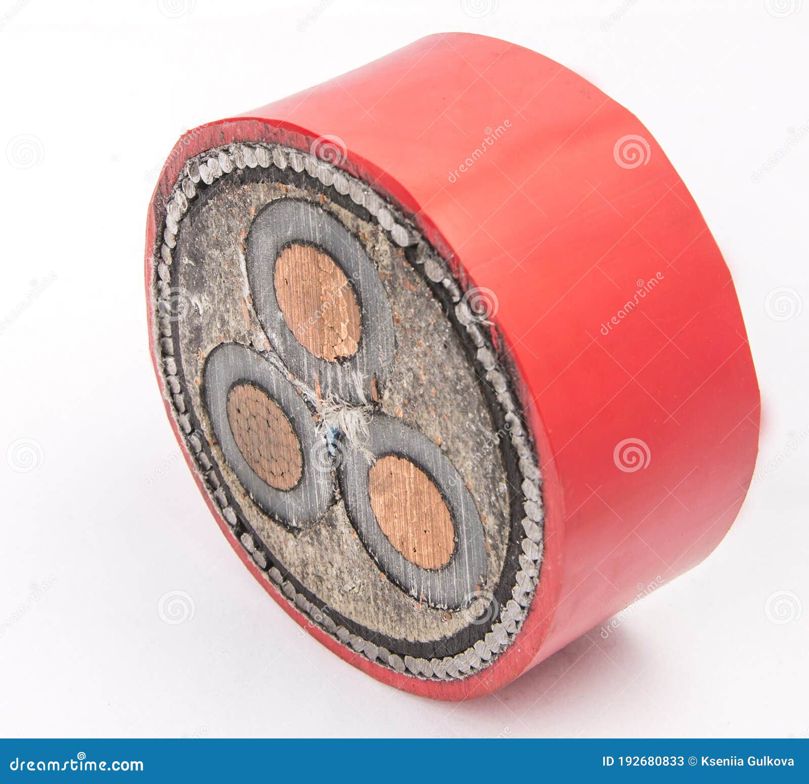 Cross Section of High-voltage Cable, Polymer Insulation Stock Image ...