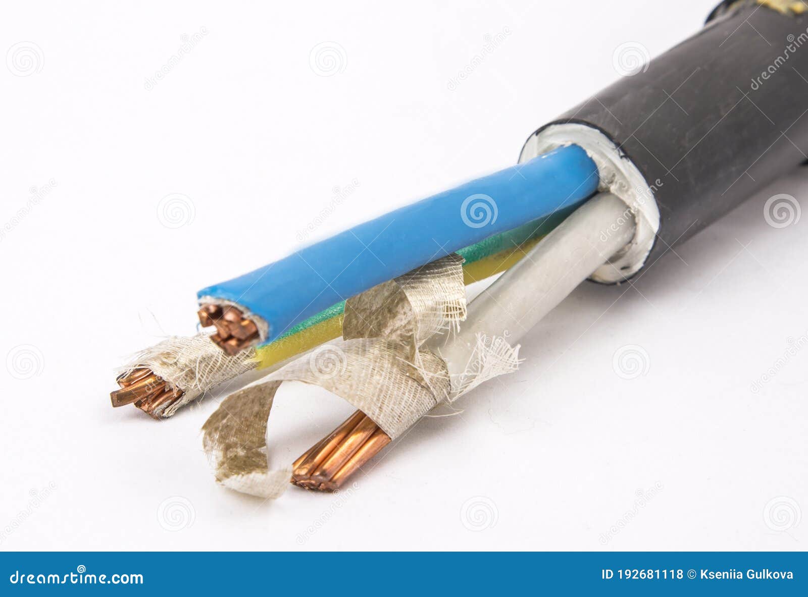 Cross Section of High-voltage Cable, Polymer Insulation Stock Photo ...