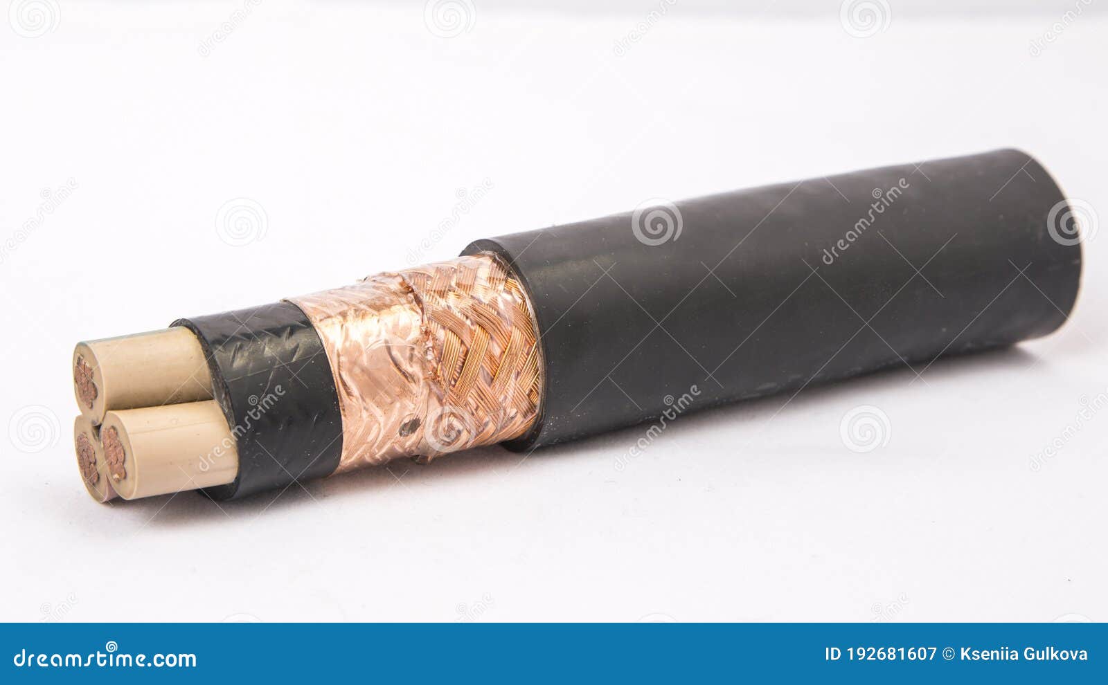 Cross Section of High-voltage Cable, Polymer Insulation Stock Image ...