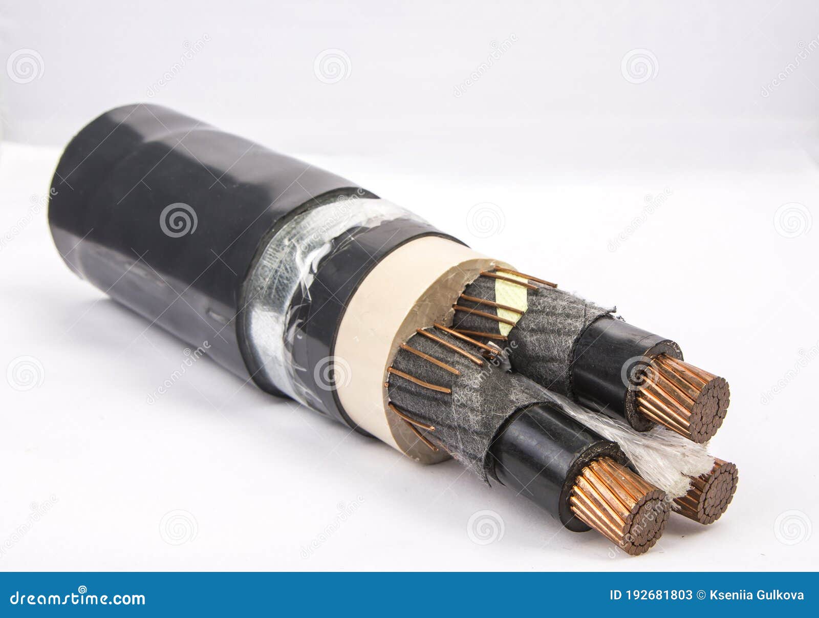 Cross Section of High-voltage Cable, Polymer Insulation Stock Image ...