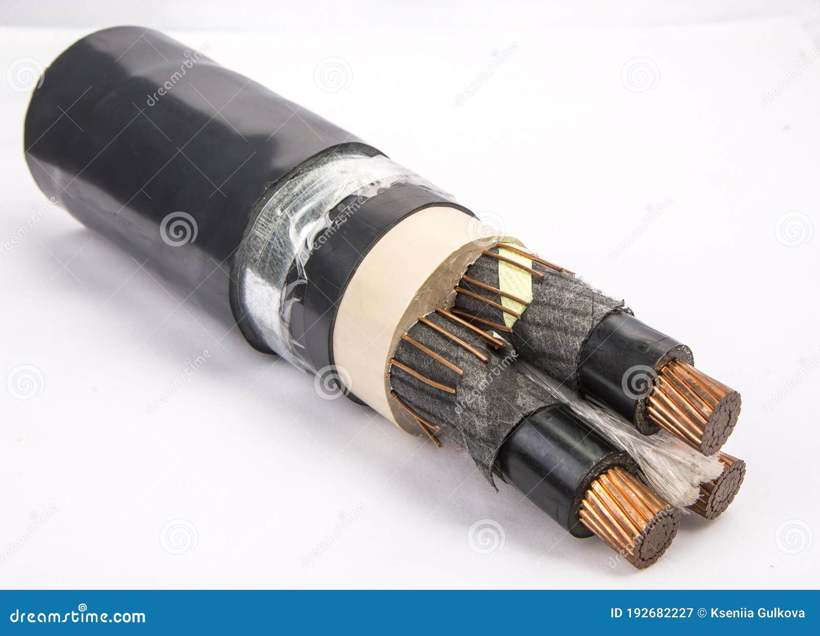 Cross Section of High-voltage Cable, Polymer Insulation Stock Image ...