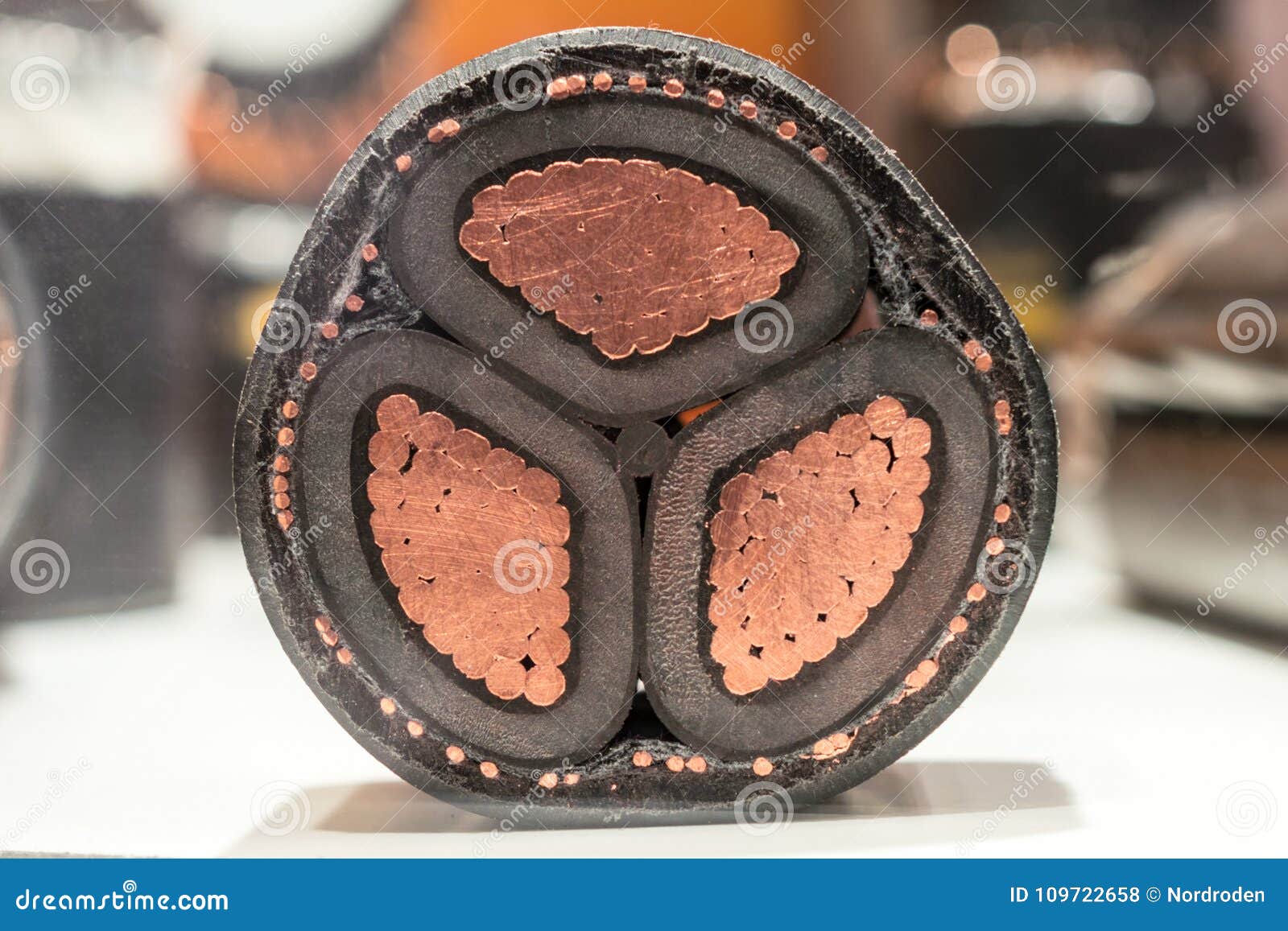 Cross Section of High-voltage Cable. Stock Photo - Image of plastic ...