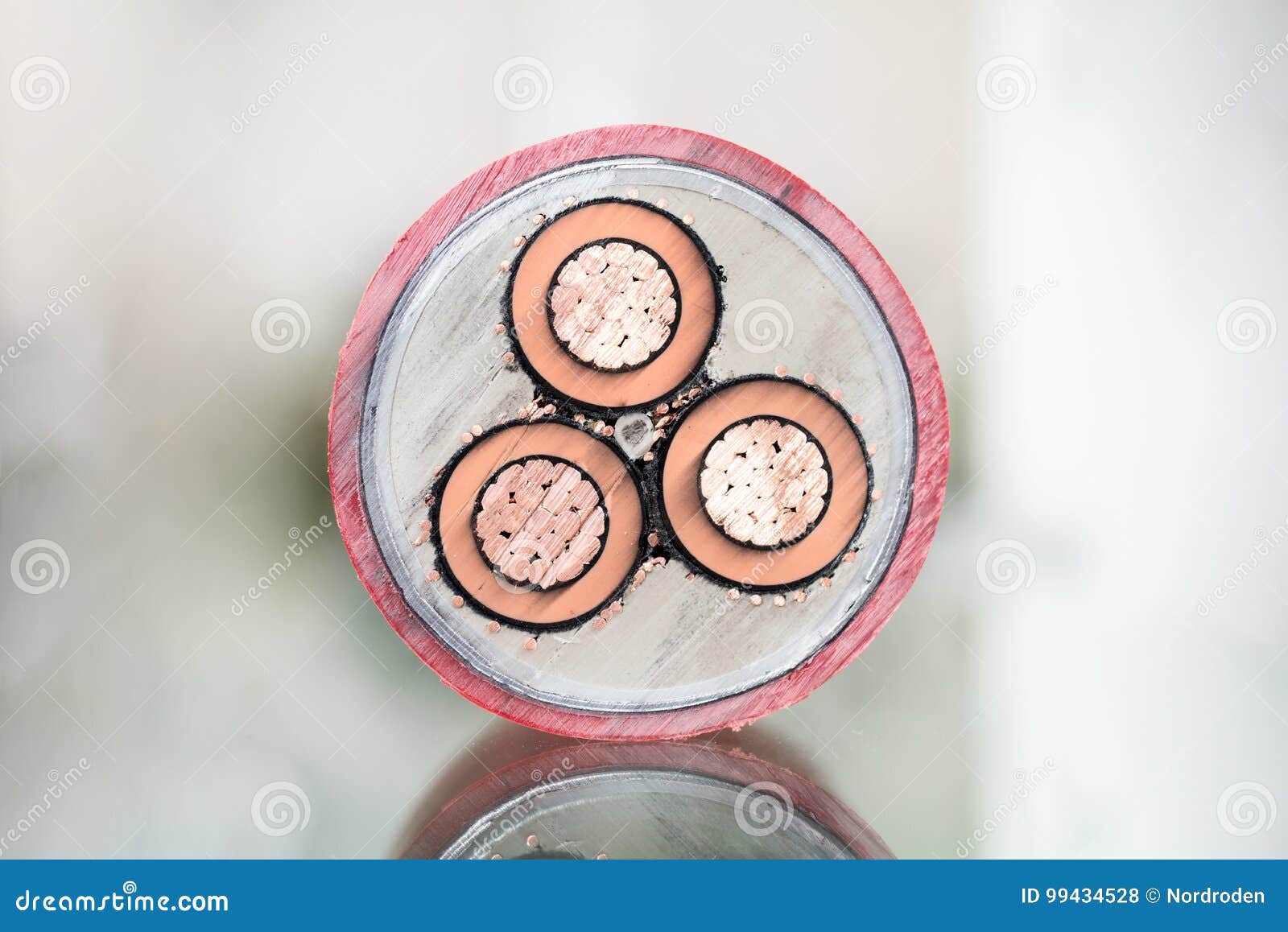 Cross Section of High-voltage Cable. Stock Photo - Image of insulator ...