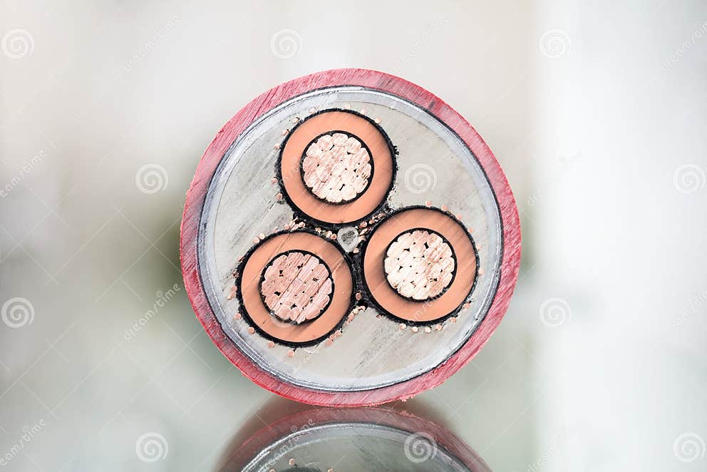 Cross Section of High-voltage Cable. Stock Photo - Image of insulator ...