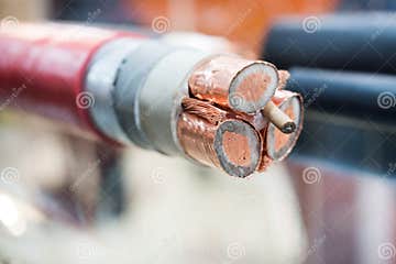 Cross Section of High-voltage Cable. Stock Photo - Image of lead, line ...