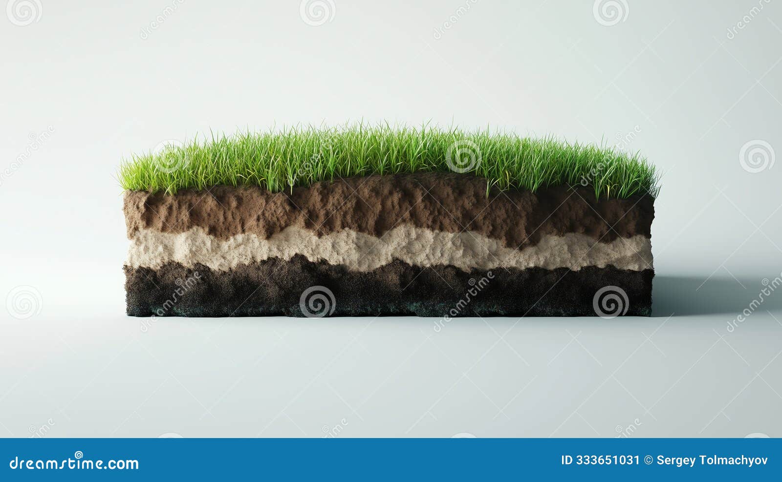 A Cross-sectional View of Soil Layers Showcasing Grass on Top ...