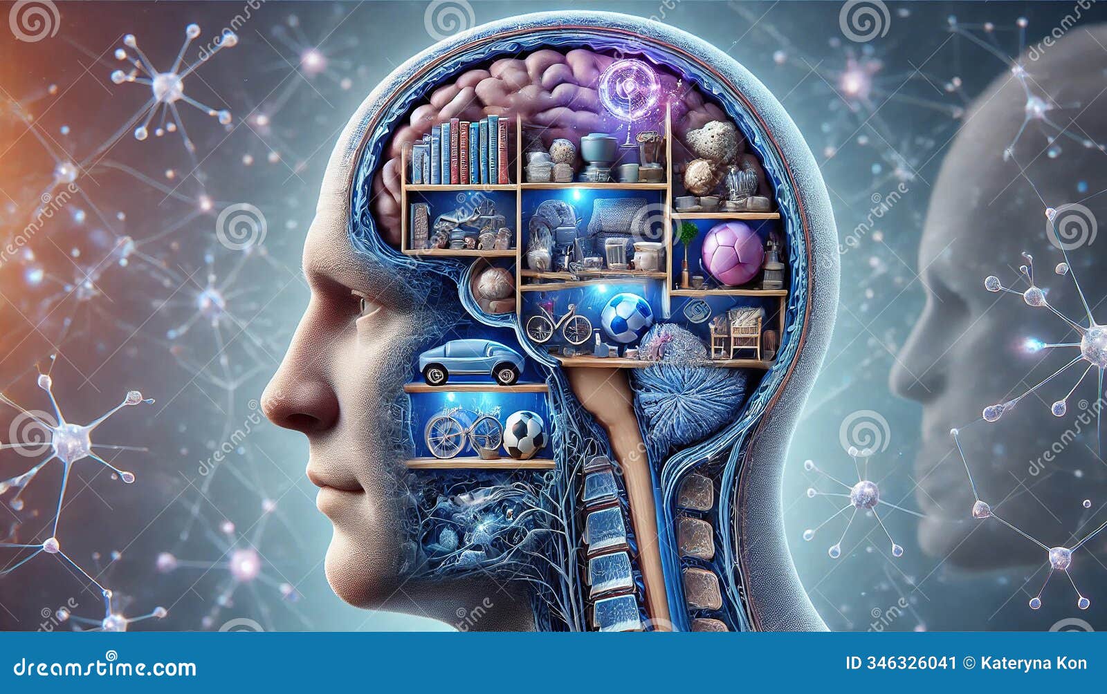 Human Brain, Showcasing Memory Storage Shelves Filled with Glowing ...