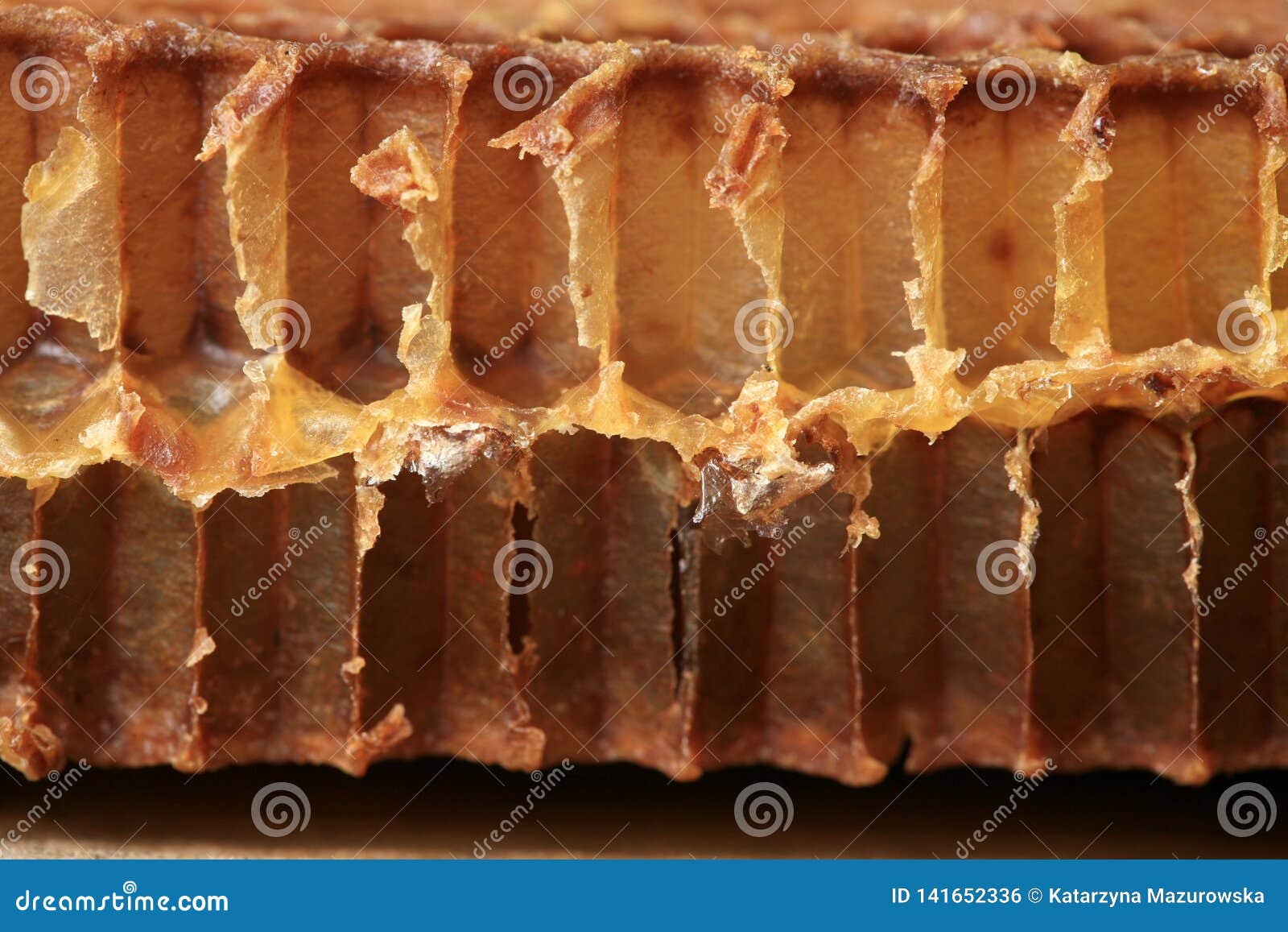 Cross-section through the Interior of an Old Honeycomb. Stock Photo ...