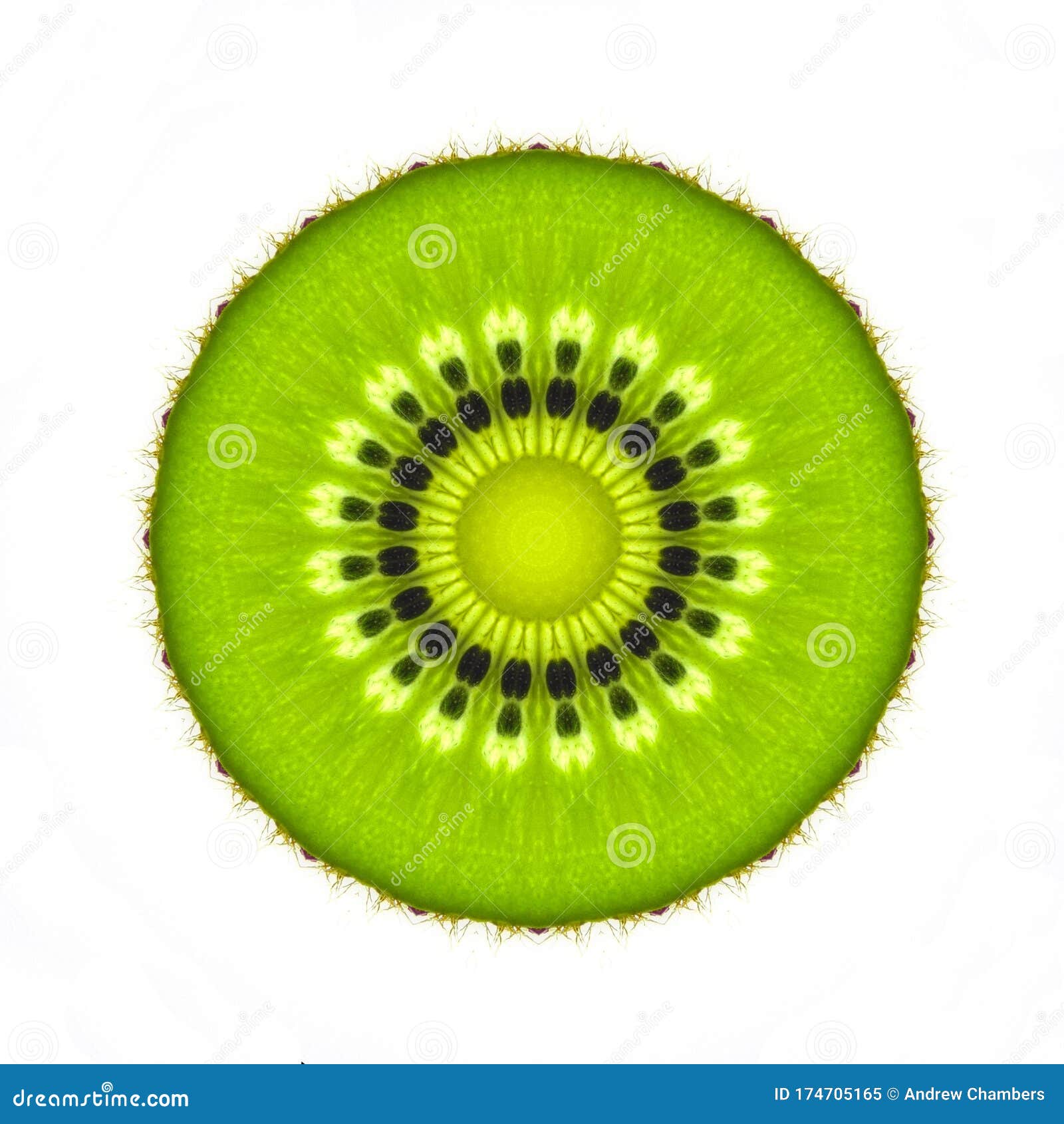 Kiwi pattern stock image. Image of fruit, organic, background - 174705165