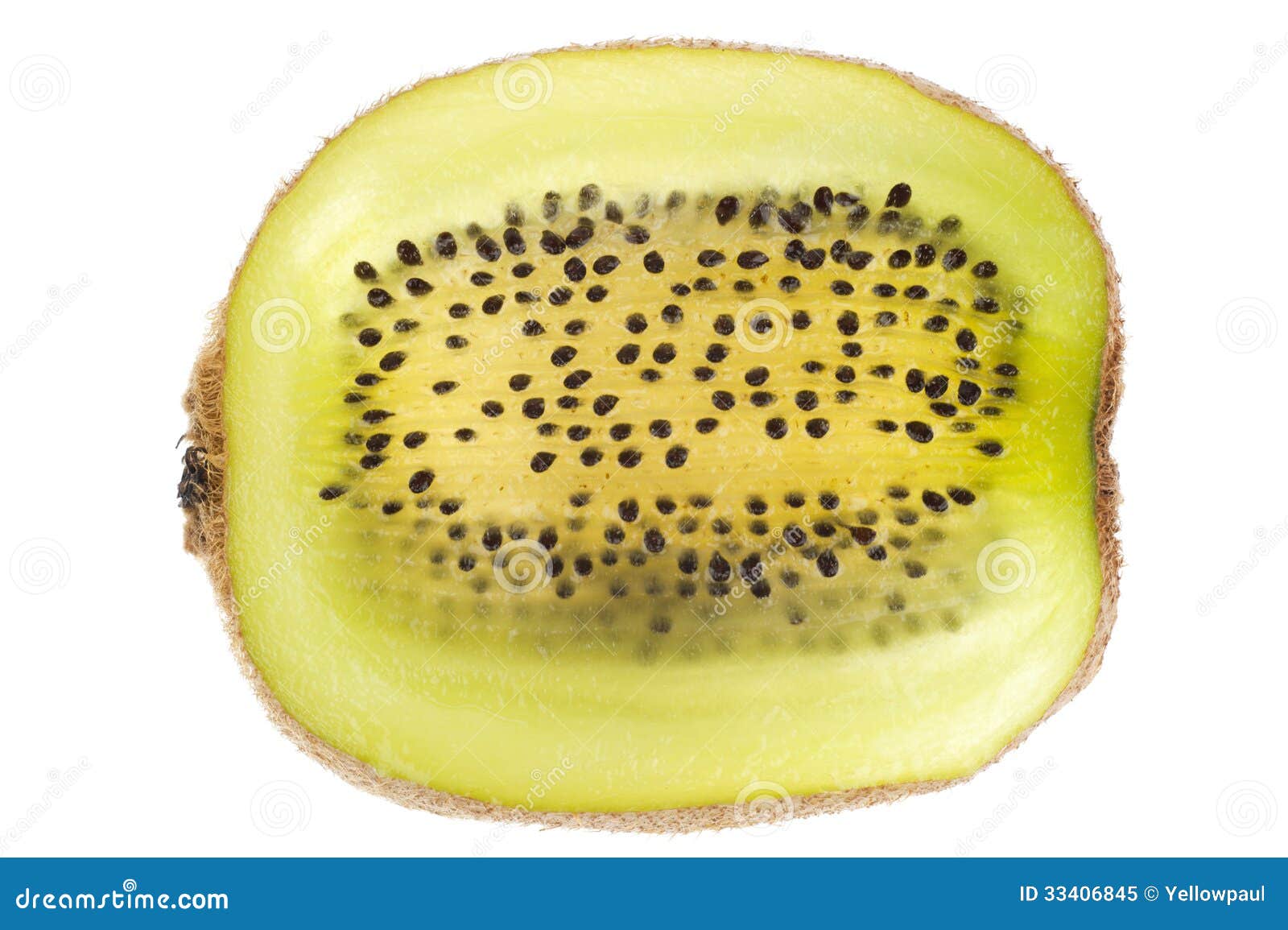 Cross Section of Kiwi with Seeds Stock Image - Image of dissect ...