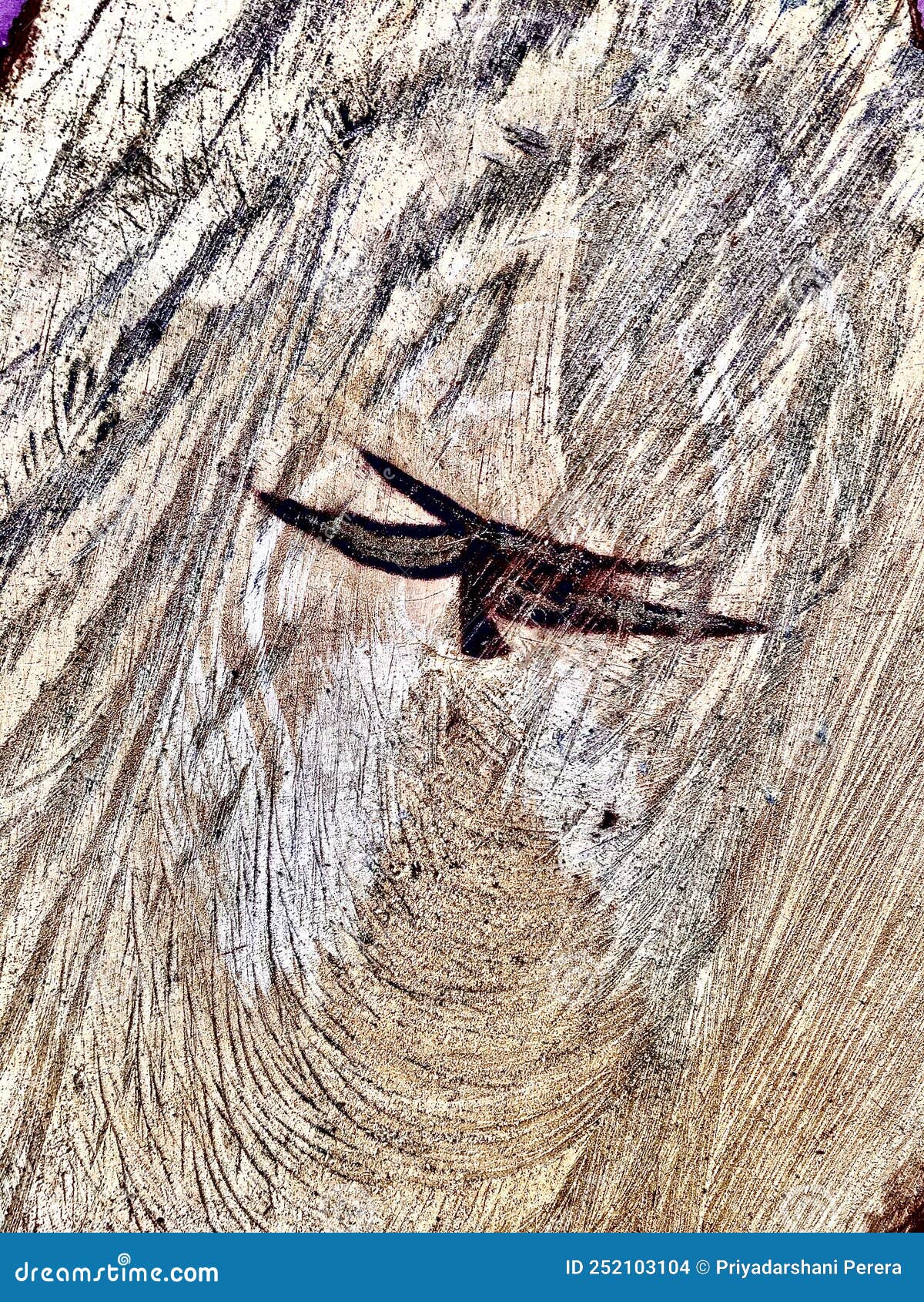 A Cross Section of a Large Tree Huge Stock Photo - Image of large ...