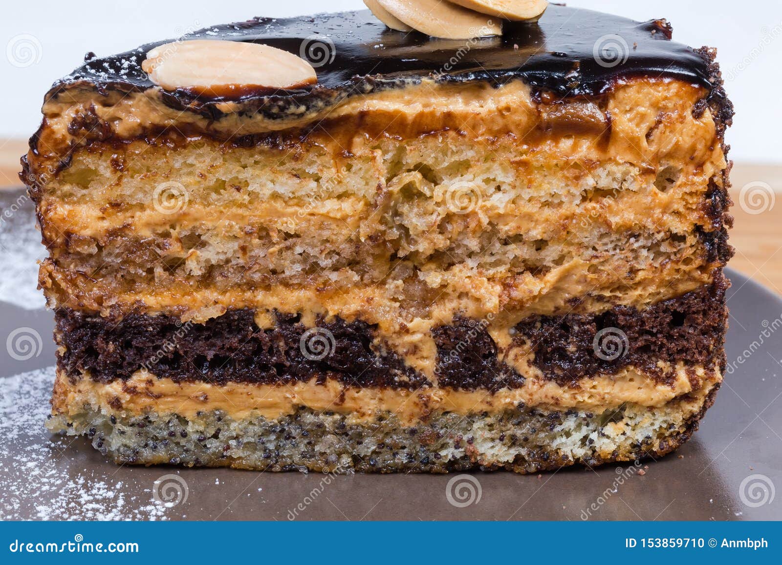 Cross Section of Layered Chocolate Sponge Cake Close-up Stock Photo ...