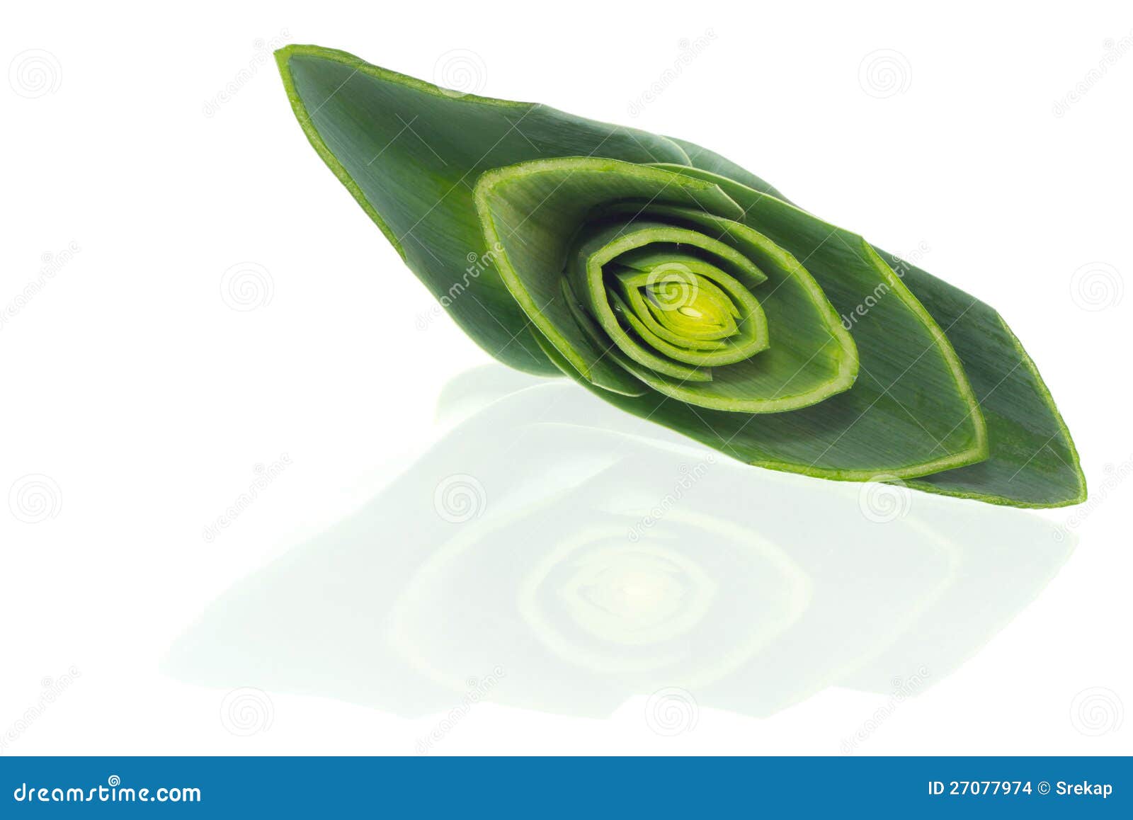 Cross section of a leek stock photo. Image of stem, cooking - 27077974