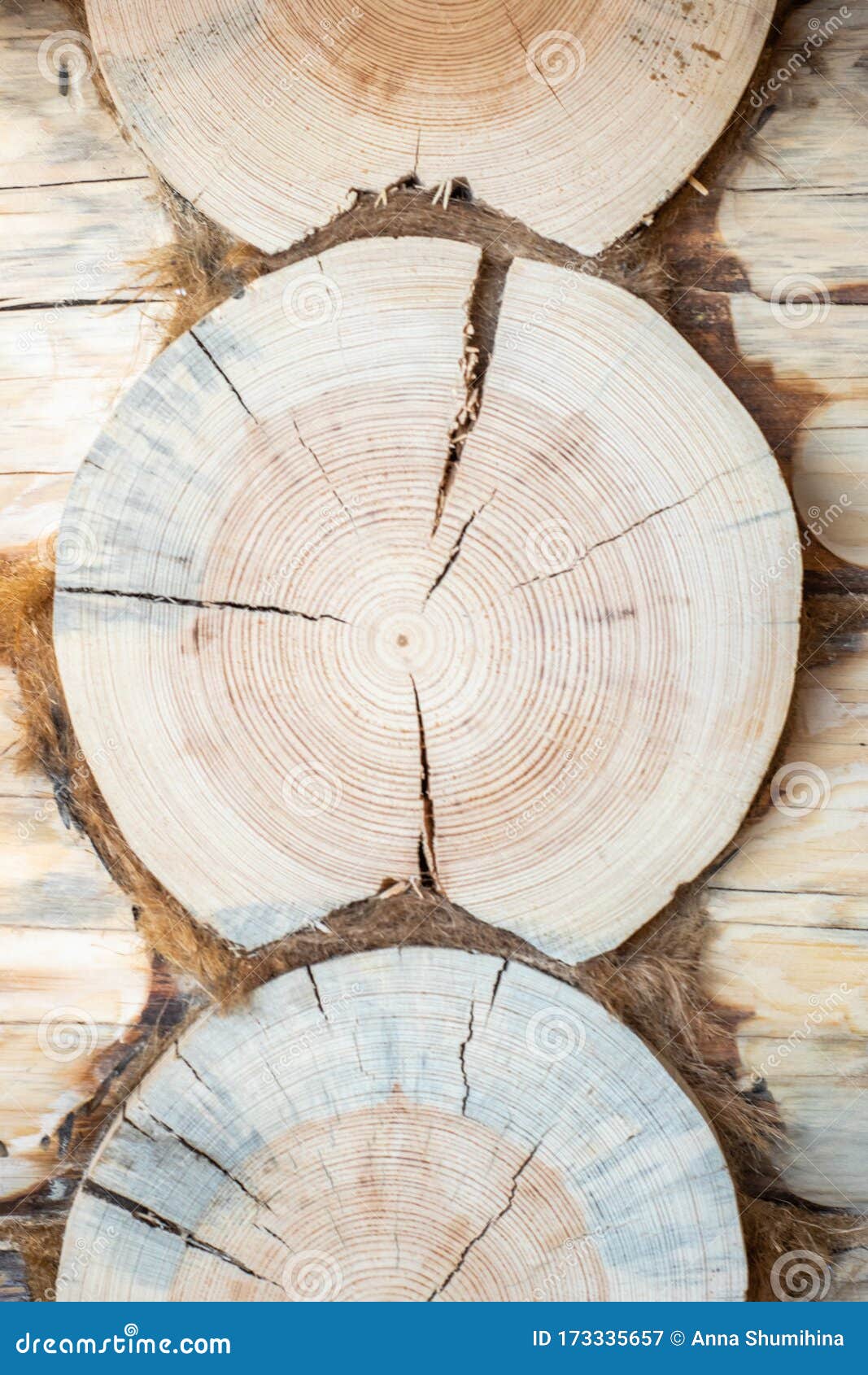 Cross Section of Logs on the Wall of a Wooden House Stock Image - Image ...
