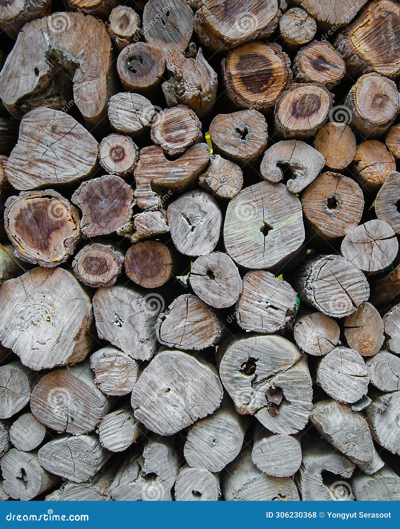 Cross Section of the Many Trees that Stack Together. Stock Photo ...