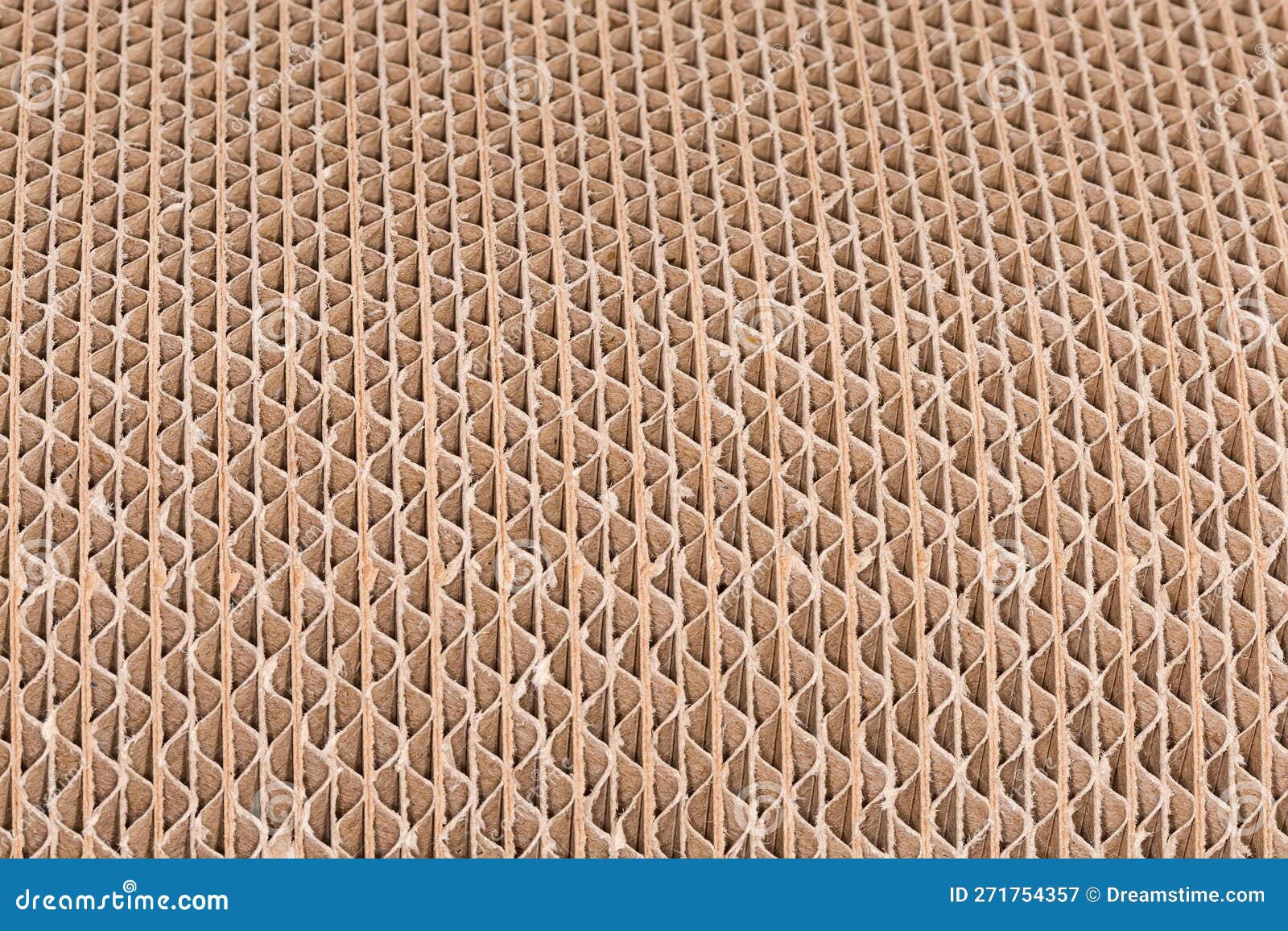 Cross Section of Multilayer Unbleached Corrugated Cardboard, Selective ...