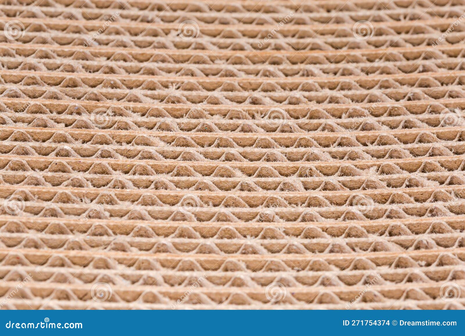 Cross Section of Multilayer Unbleached Corrugated Cardboard, Selective ...