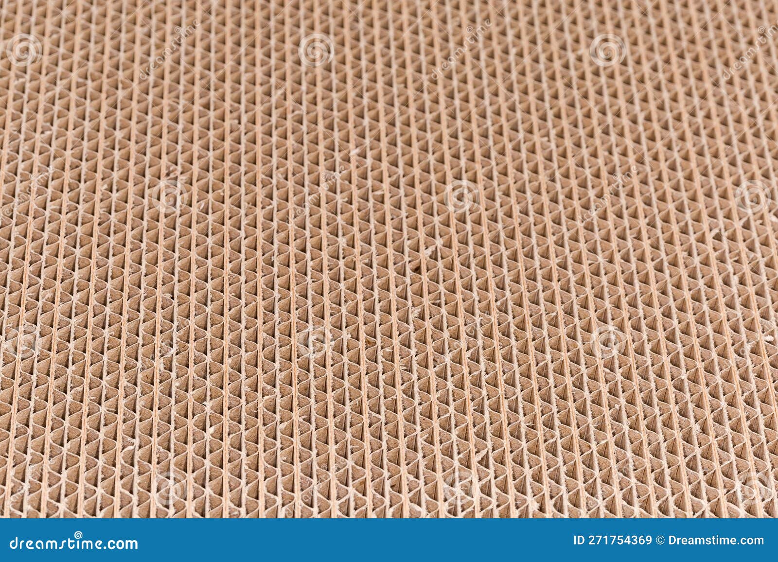 Cross Section of Multilayer Unbleached Corrugated Cardboard, Selective ...