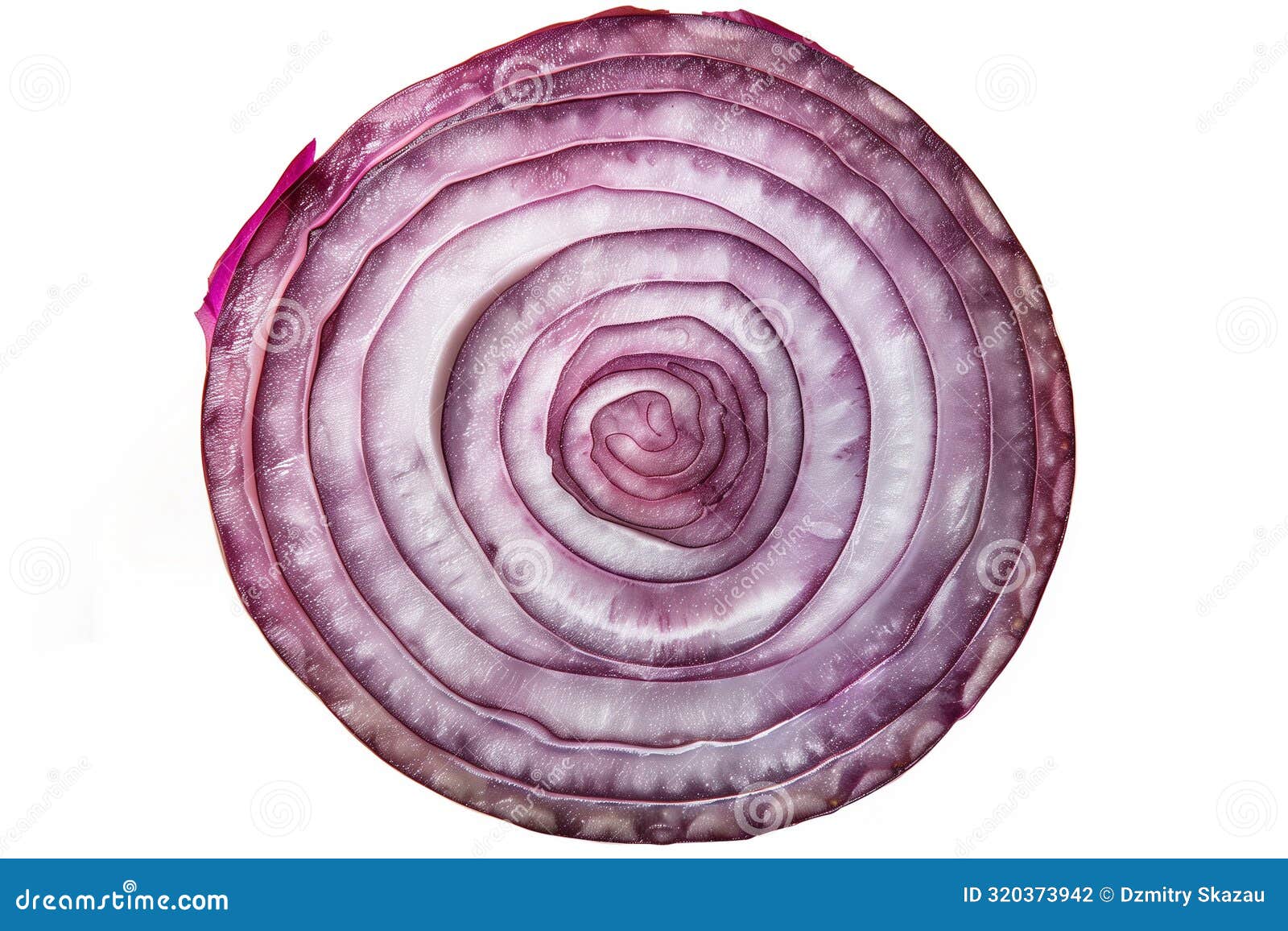Cross-Section of Onion on White Background Stock Photo - Image of ...