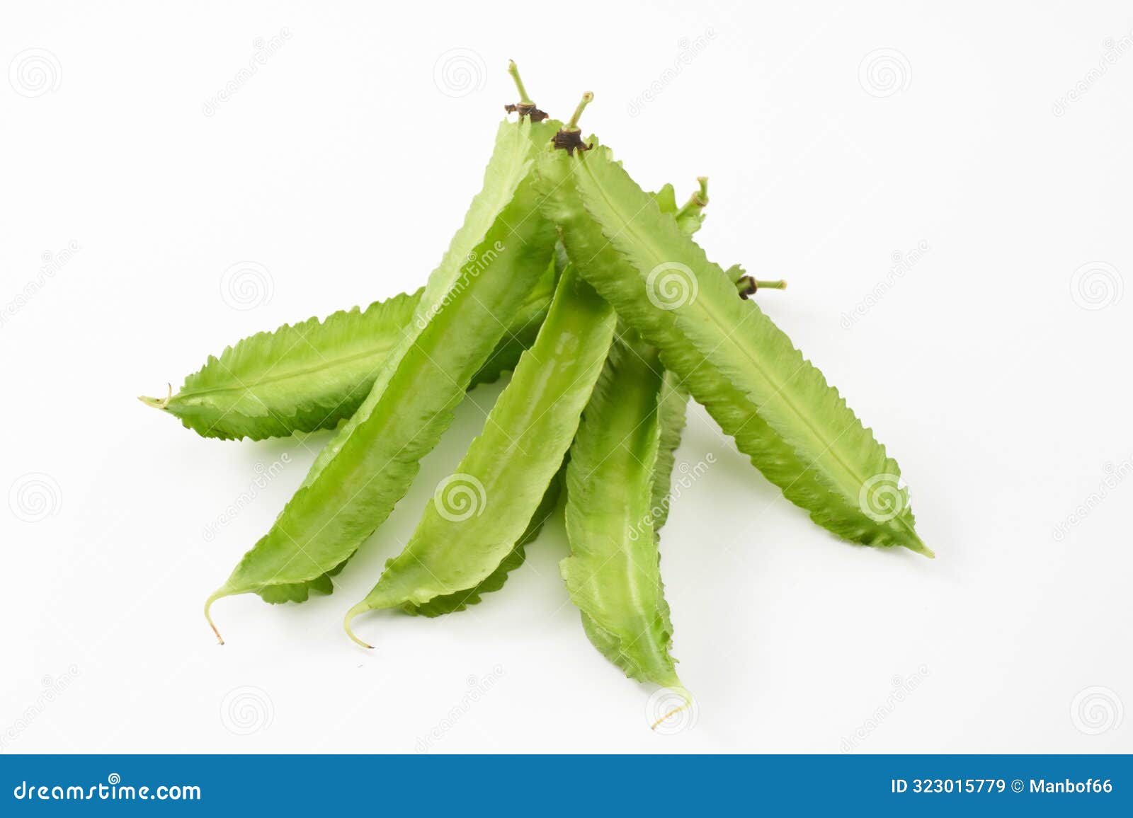 Winged Beans on White Background Stock Image - Image of beans, nature ...