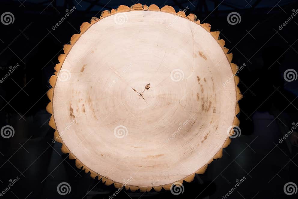 Tree pit stock photo. Image of nature, black, isolated - 69251110