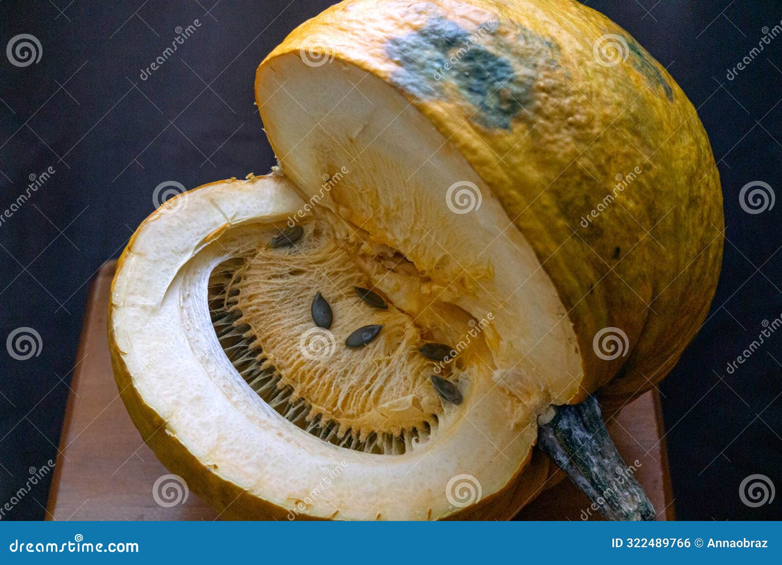 Cross-section of a Pumpkin with Cells for Seeds. Stock Photo - Image of ...