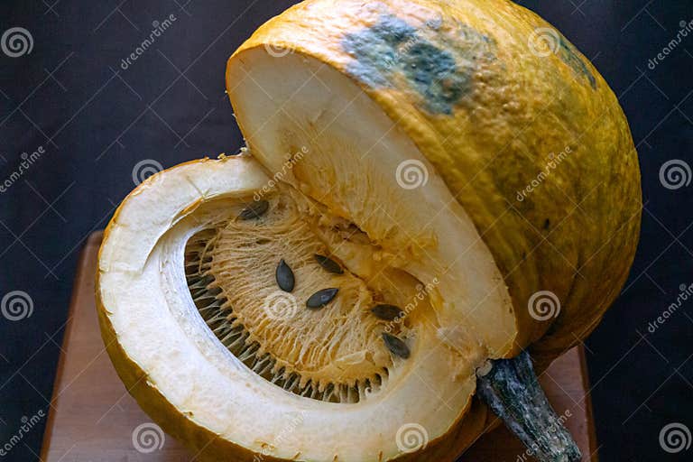 Cross-section of a Pumpkin with Cells for Seeds. Stock Photo - Image of ...