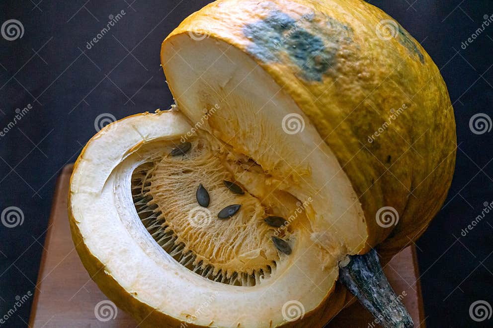 Cross-section of a Pumpkin with Cells for Seeds. Stock Photo - Image of ...