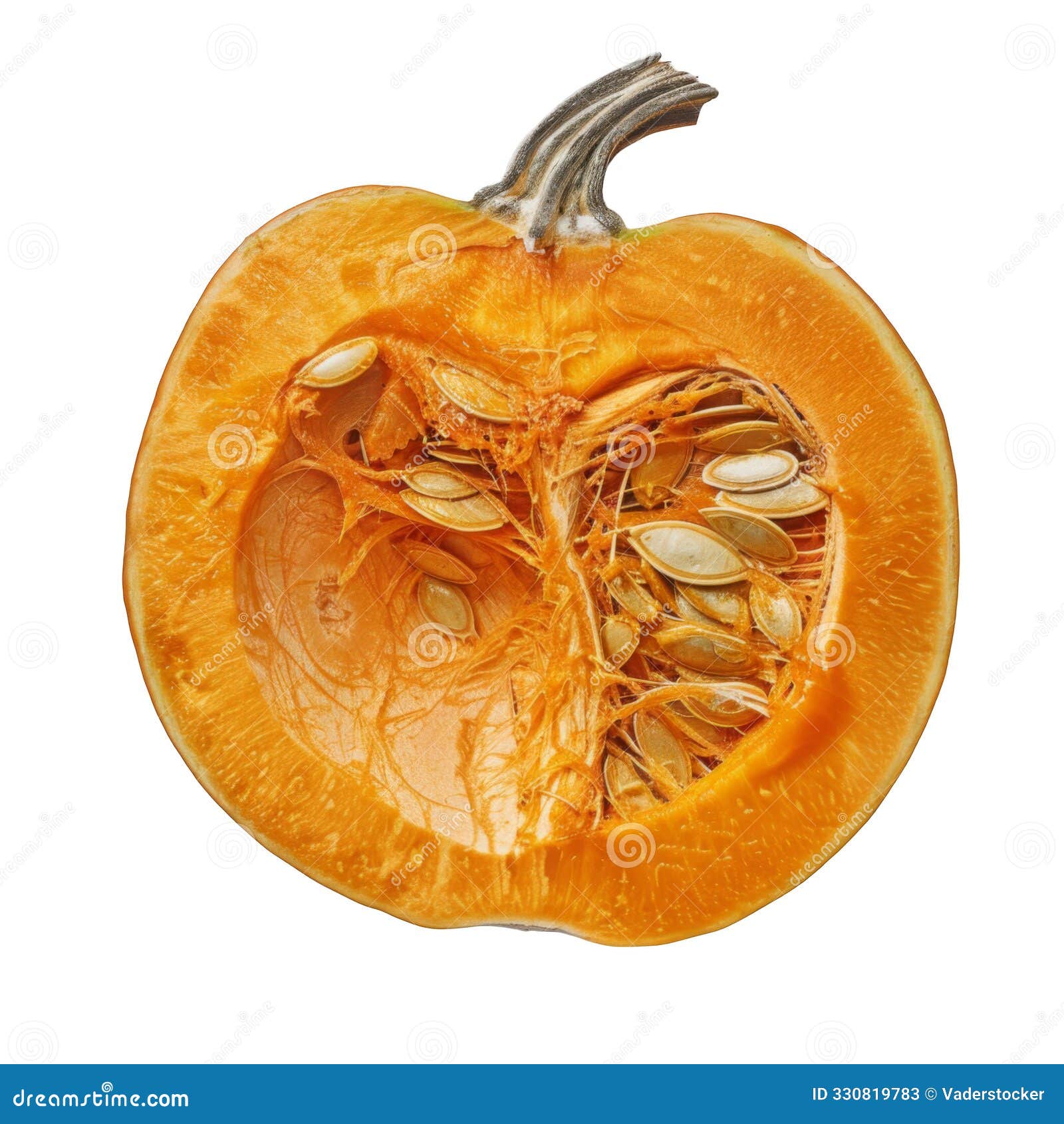 A Cross Section of a Pumpkin Revealing Its Seeds and Inner Structure ...