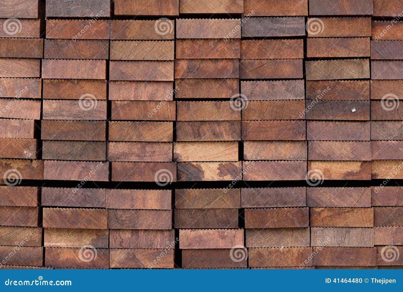 Woods Cross Section Cut Stock Photos - Royalty Free Images