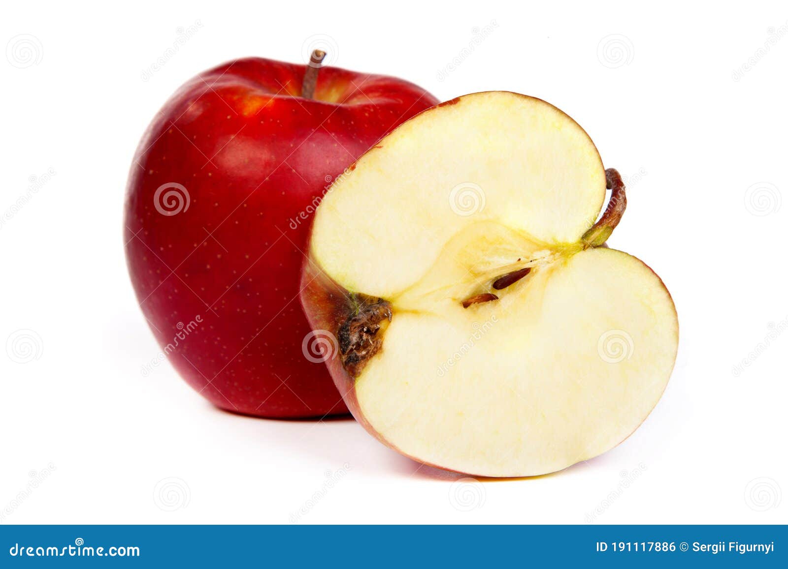 Cross Section Diagram Of An Apple