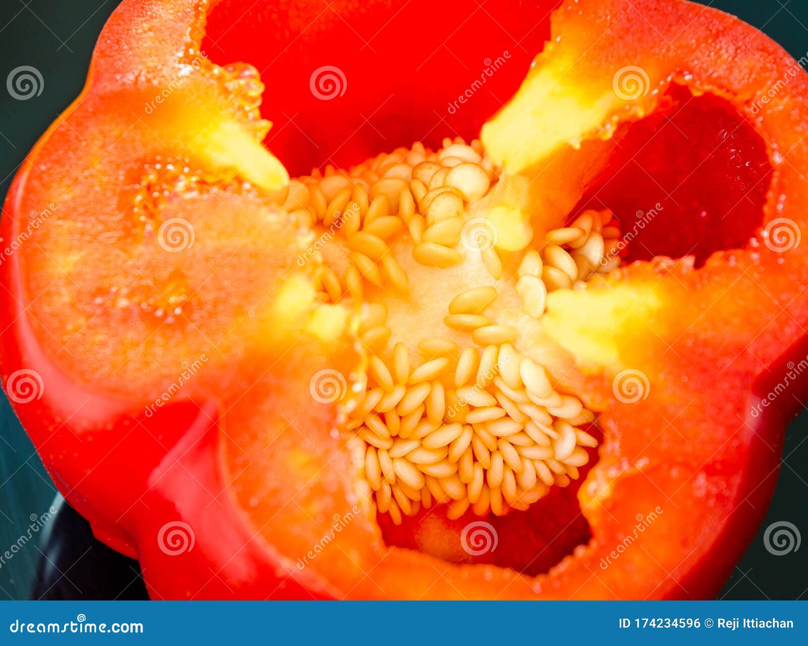 Cross Section of Red Capsicum Stock Photo - Image of organic, bell ...