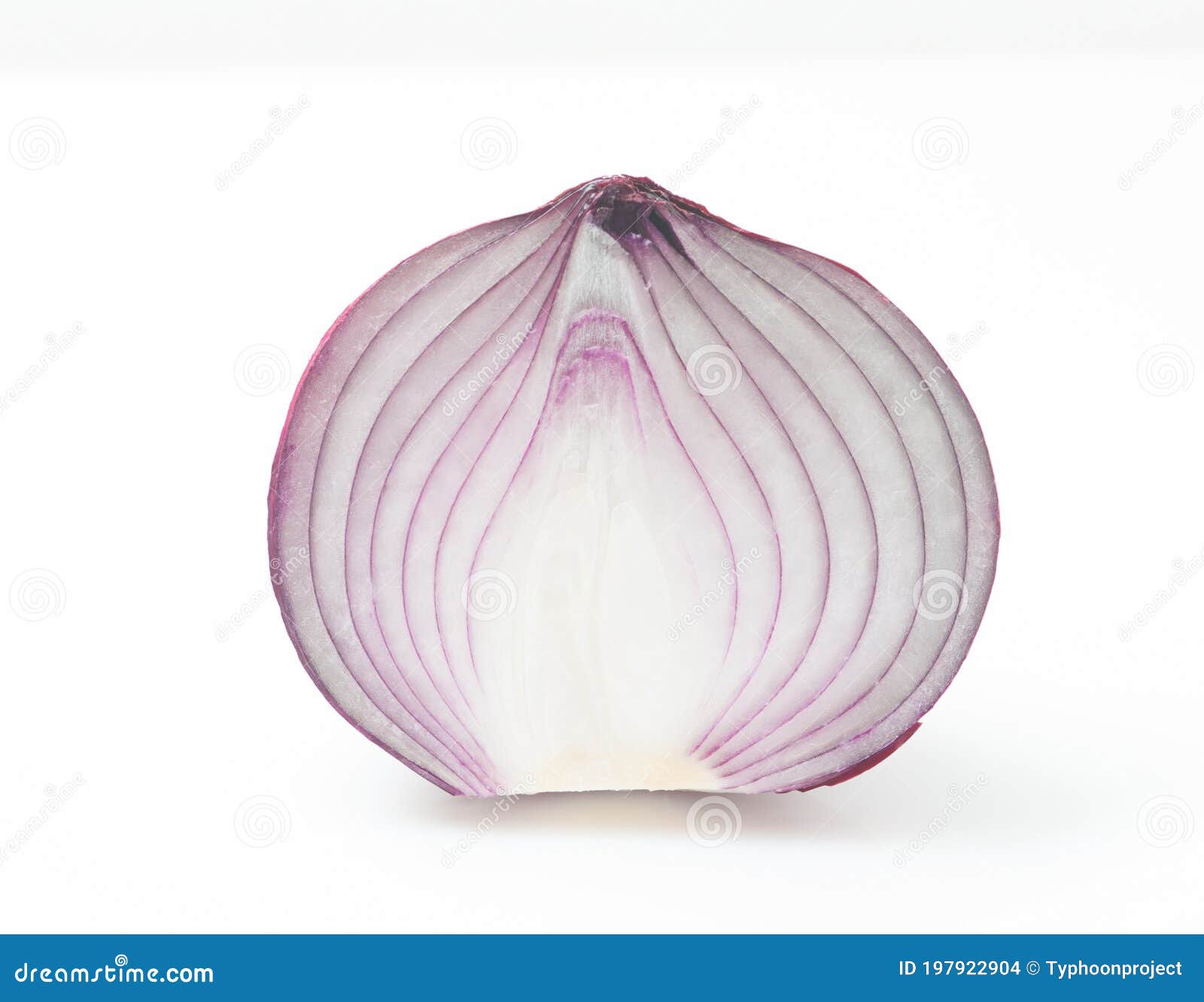 Cross Section of Red Onion. Close Up Shooting Stock Photo - Image of ...